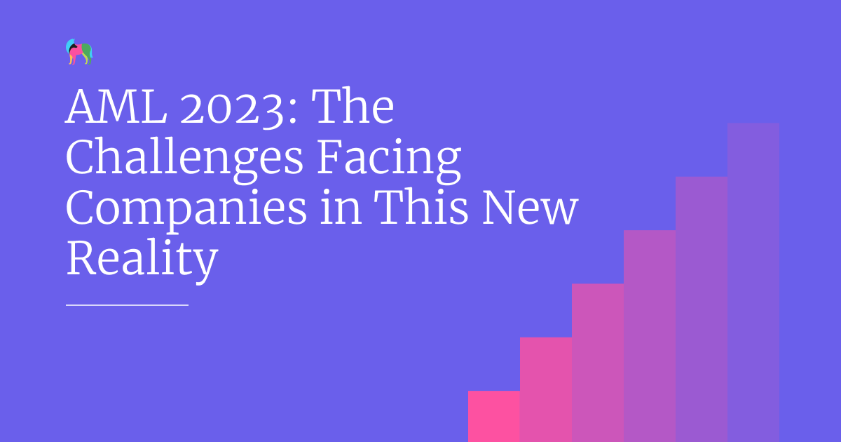 AML 2023: The Challenges Facing Companies in This New Reality • MetaMap